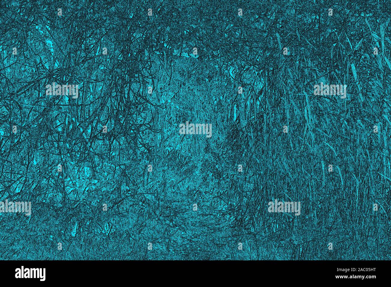 Petrol colored background with natural plant textures of different ...