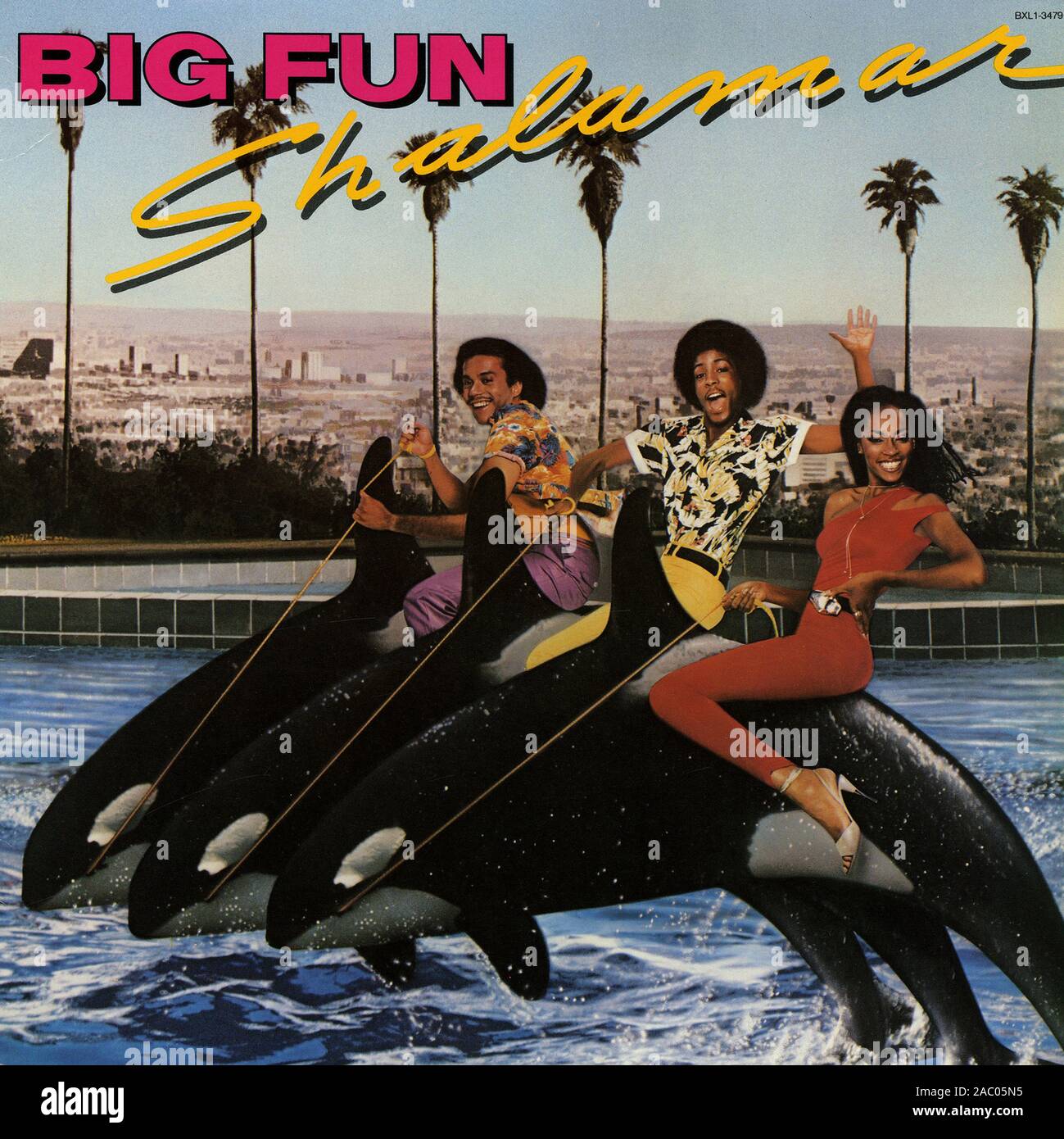 Big Fun Shalamar - Vintage vinyl album cover Stock Photo - Alamy