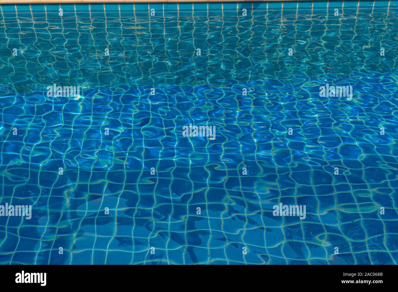 blue water in swimming pool beside the house Stock Photo - Alamy