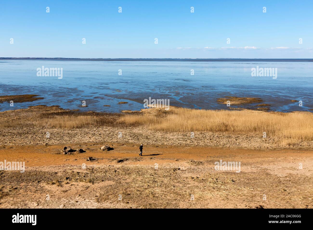 Spaziergaenger am Wattenmeer unterhalb des Morsum-Kliff auf Sylt Stock ...