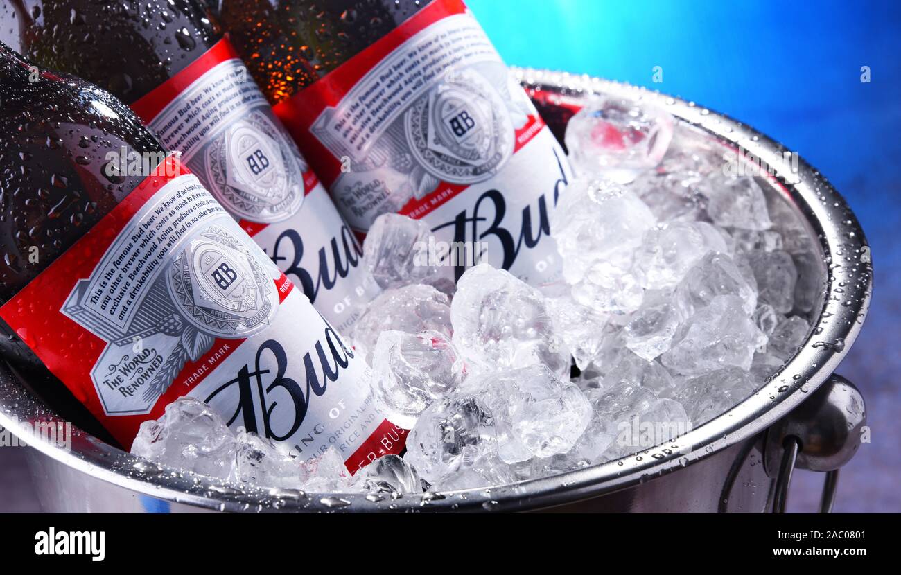 POZNAN, POL - SEP 4, 2019: Bottles of Bud beer, an American-style pale ...