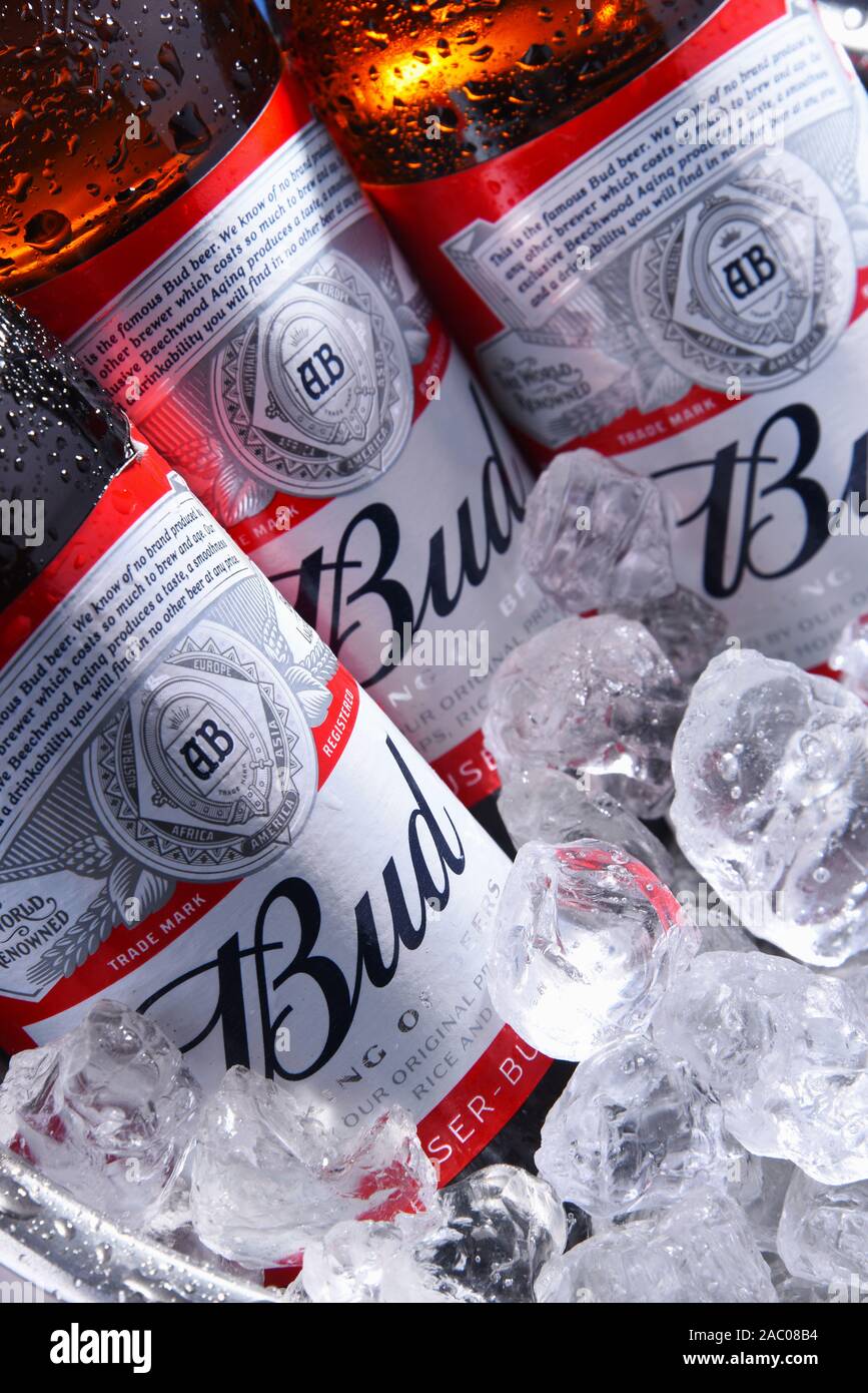 POZNAN, POL - SEP 4, 2019: Bottles of Bud beer, an American-style pale ...