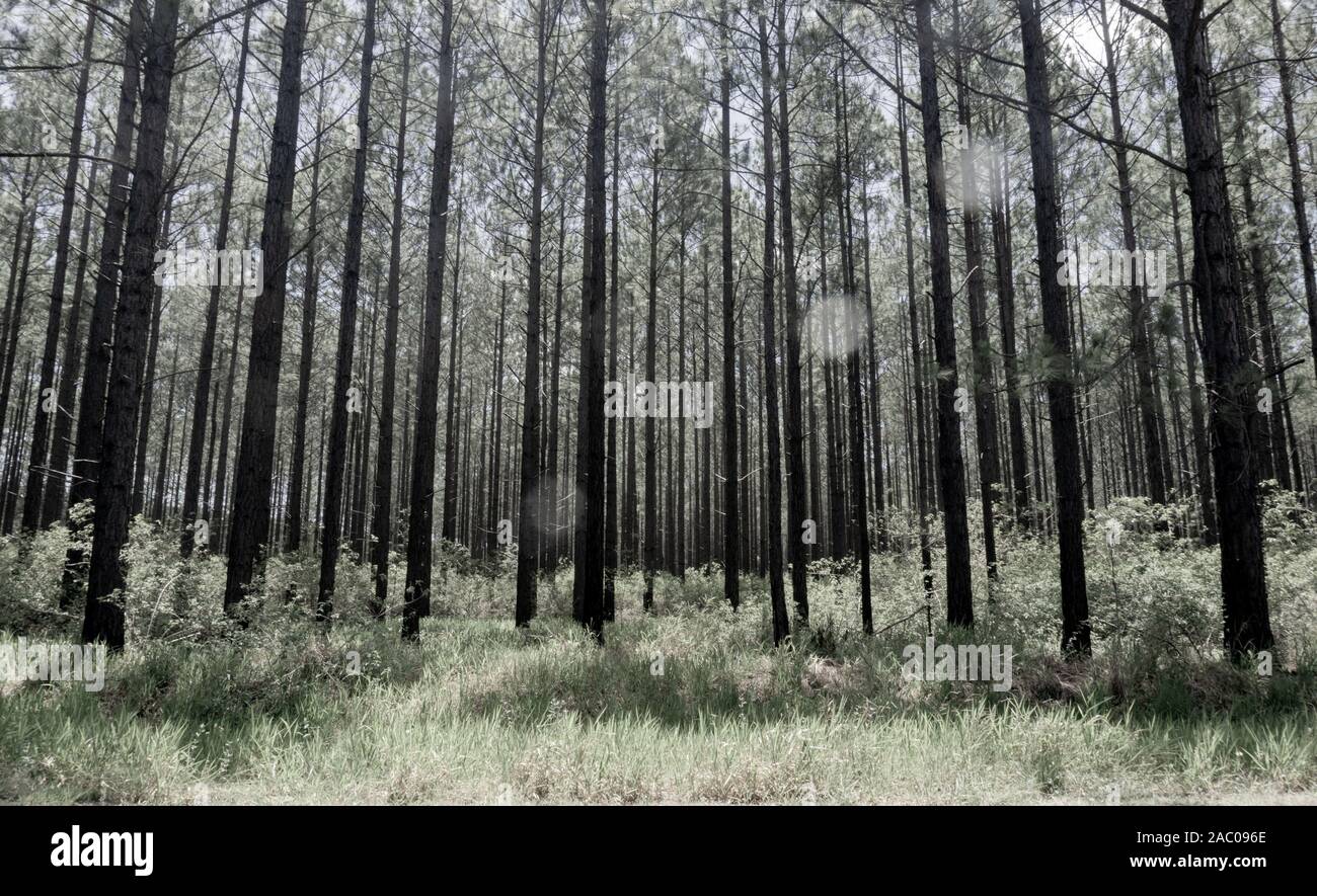 Ine art photograph hi-res stock photography and images - Alamy