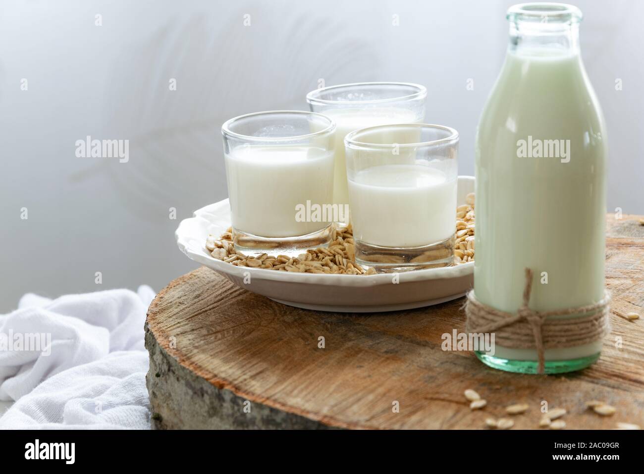Fresh oat milk drink. Healthy nutritional ingredient, dairy themes ...