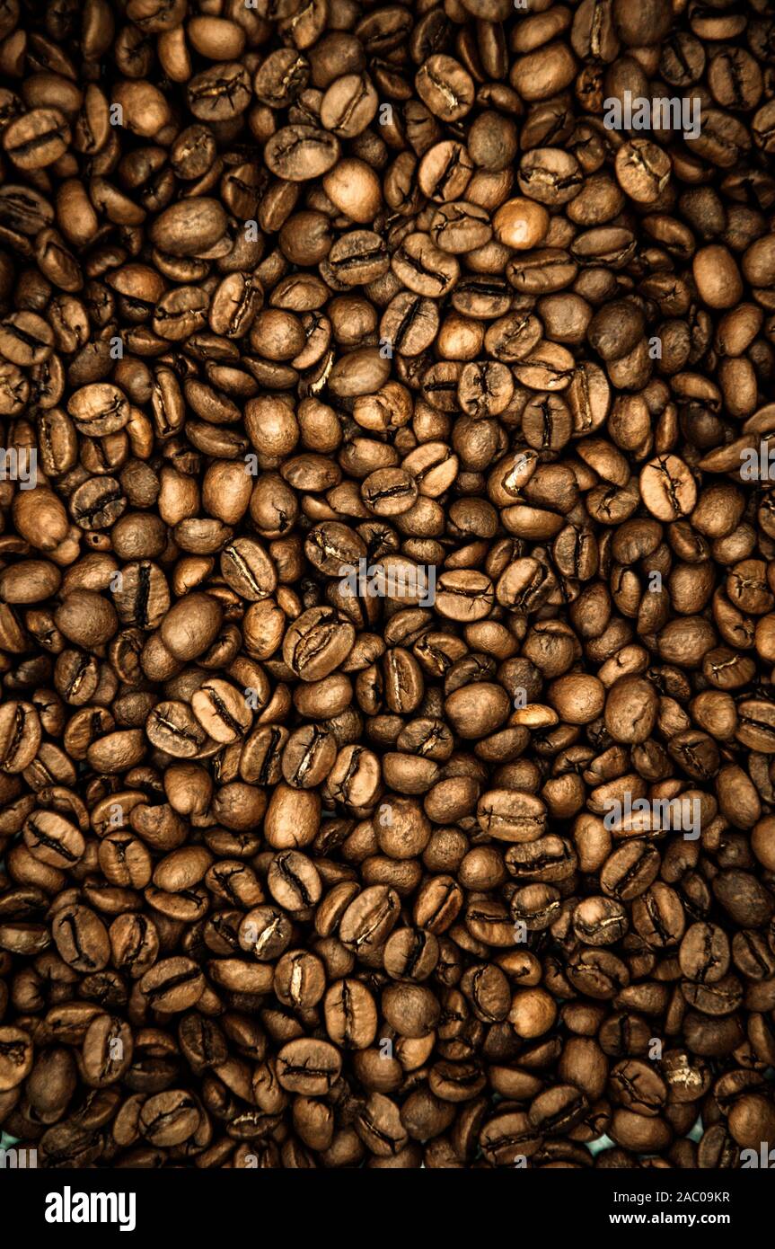 Coffee grains. Background of roasted coffee beans brown. layout Stock ...