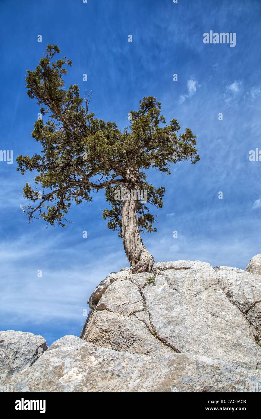Taurus Mountains, Baranda Plateau and juniper trees Stock Photo - Alamy