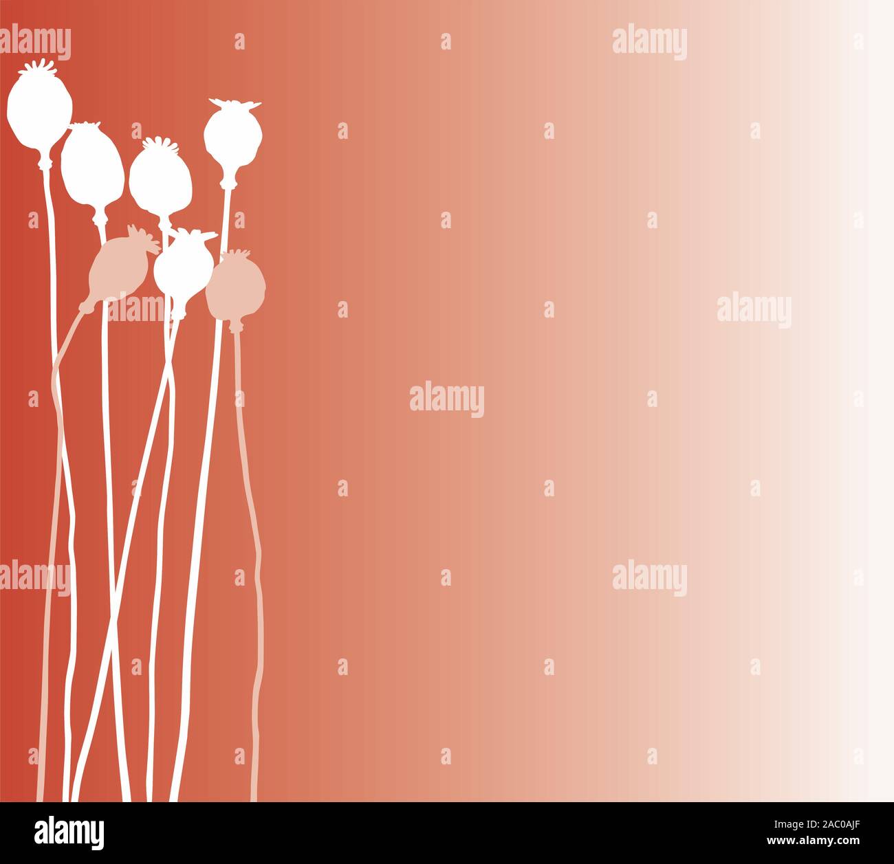 Poppy vector vectors hi-res stock photography and images - Alamy