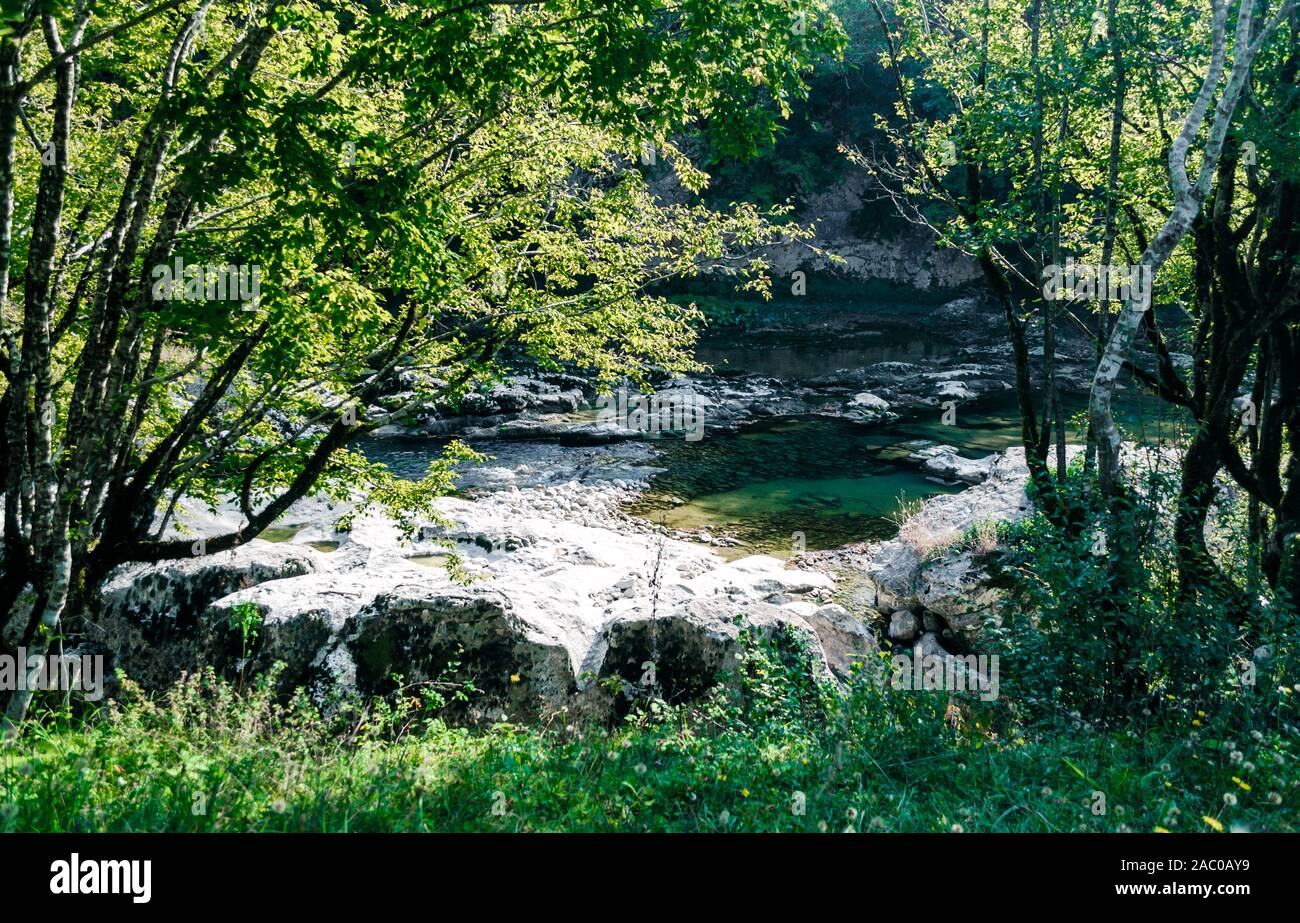 stone coast of a mountain river with green trees in Georgia tourism ...