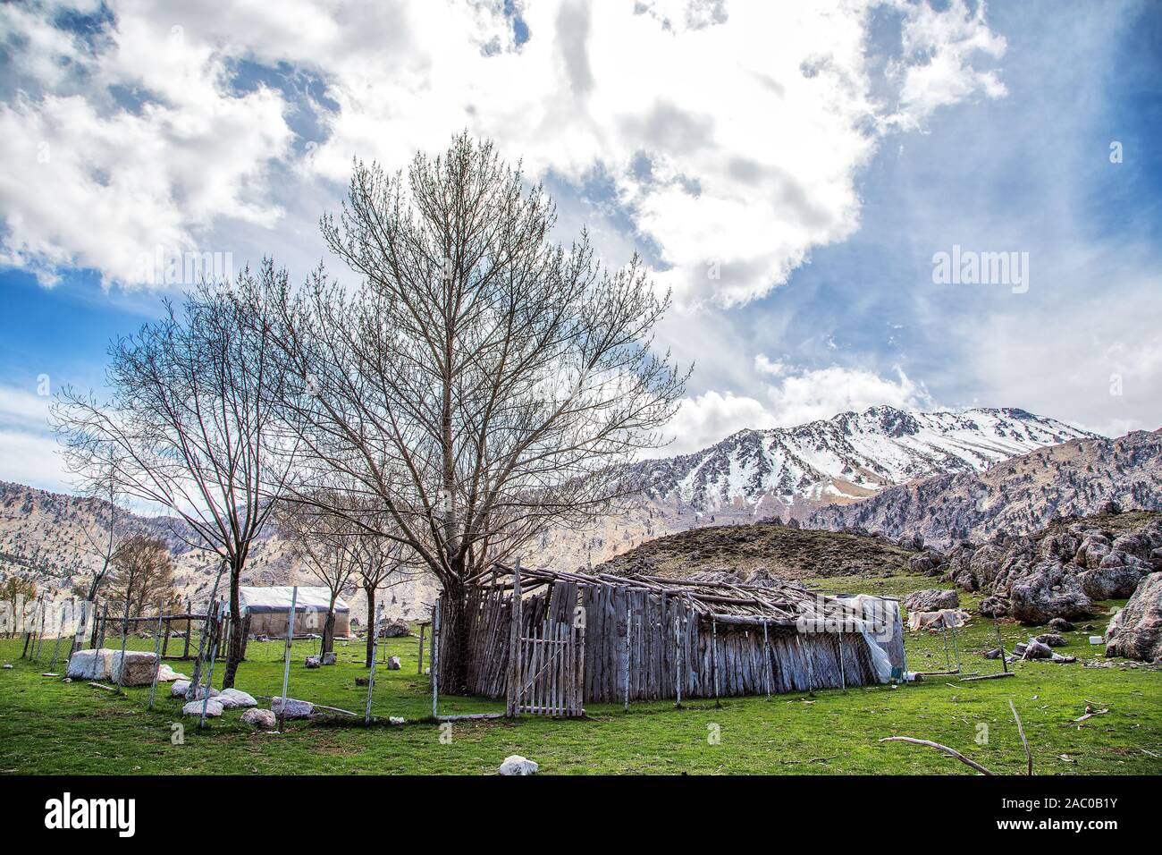 Taurus Mountains, Baranda Plateau and juniper trees Stock Photo - Alamy
