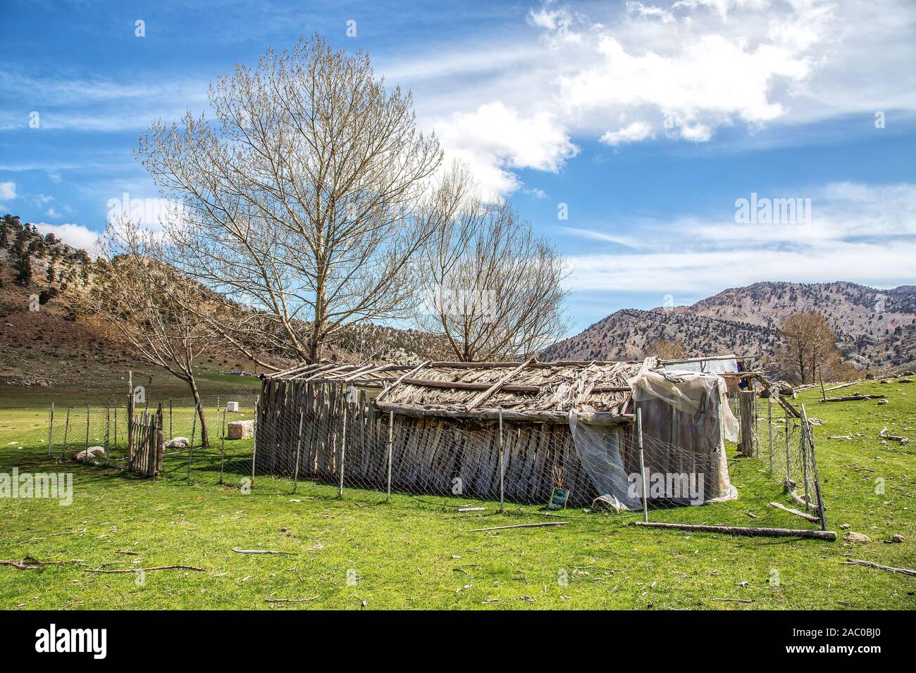Taurus Mountains, Baranda Plateau and juniper trees Stock Photo - Alamy