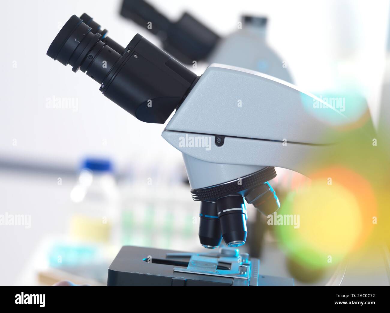 Microscope Slide Specimens High Resolution Stock Photography and Images ...