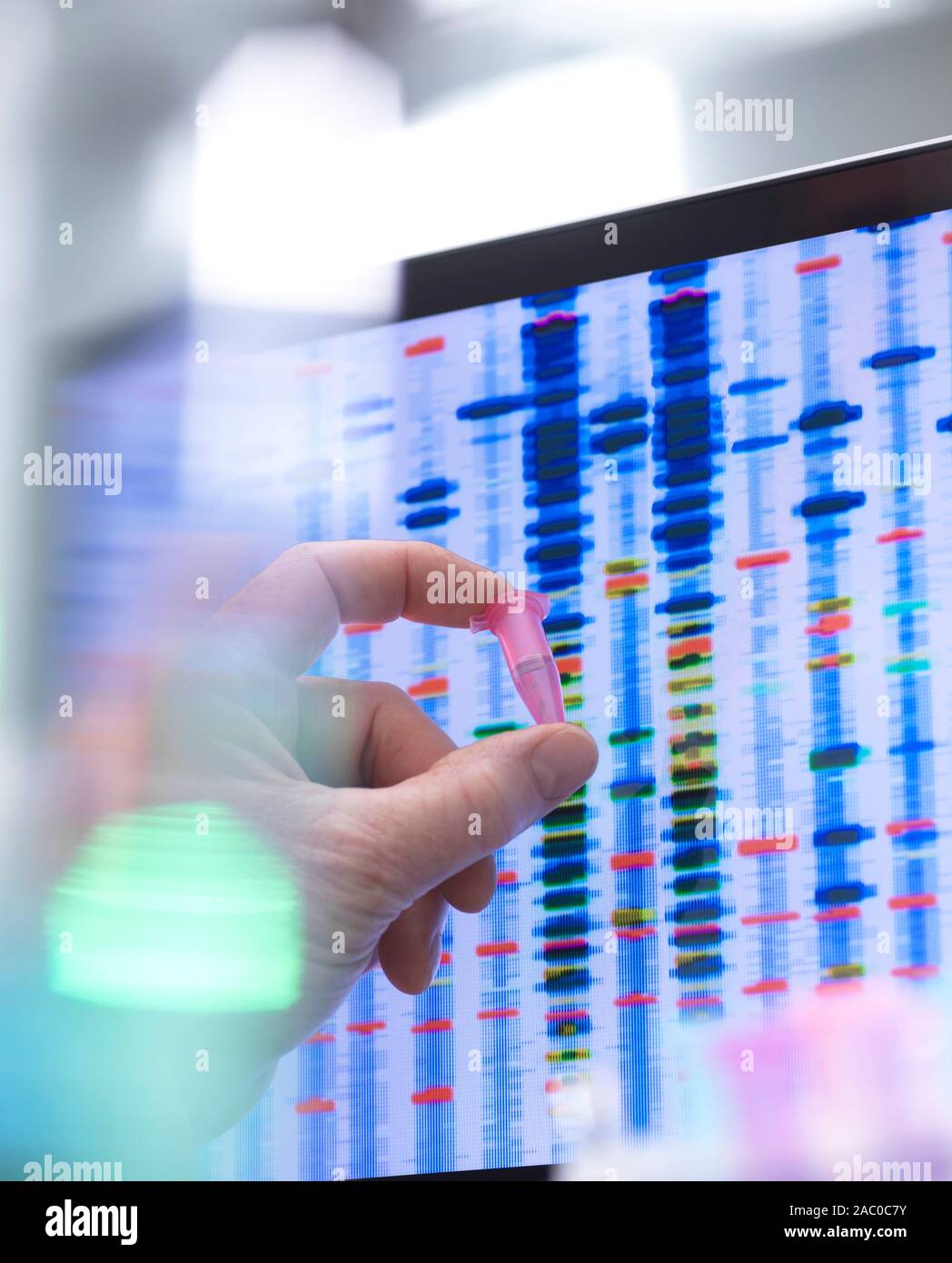 Scientist examining DNA (deoxyribonucleic acid) results on a screen ...