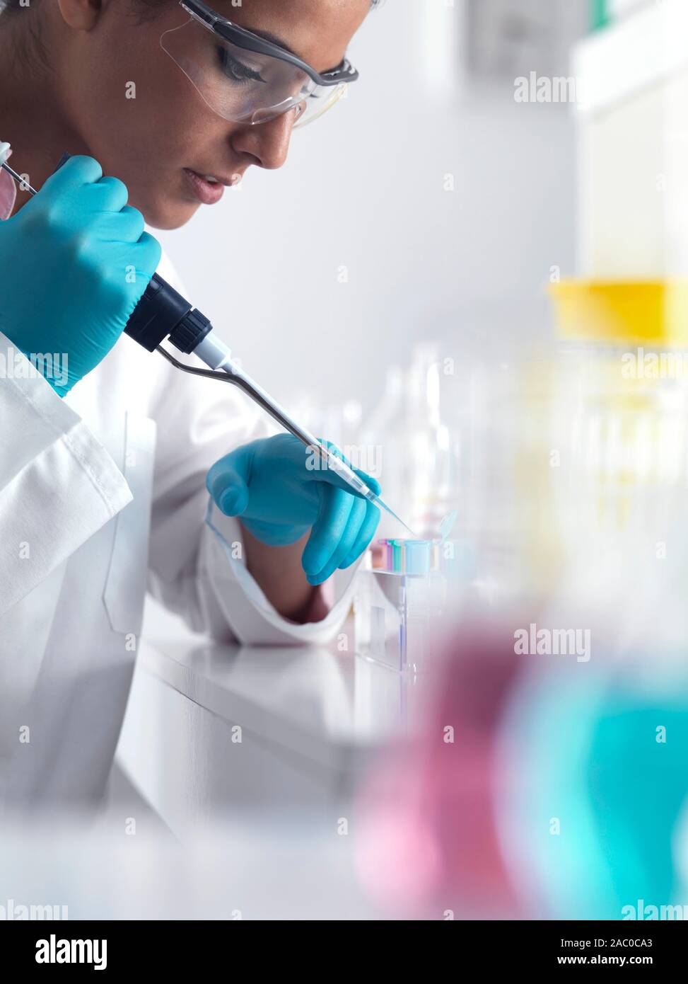 Scientist pipetting samples into micro centrifuge tubes ready for ...