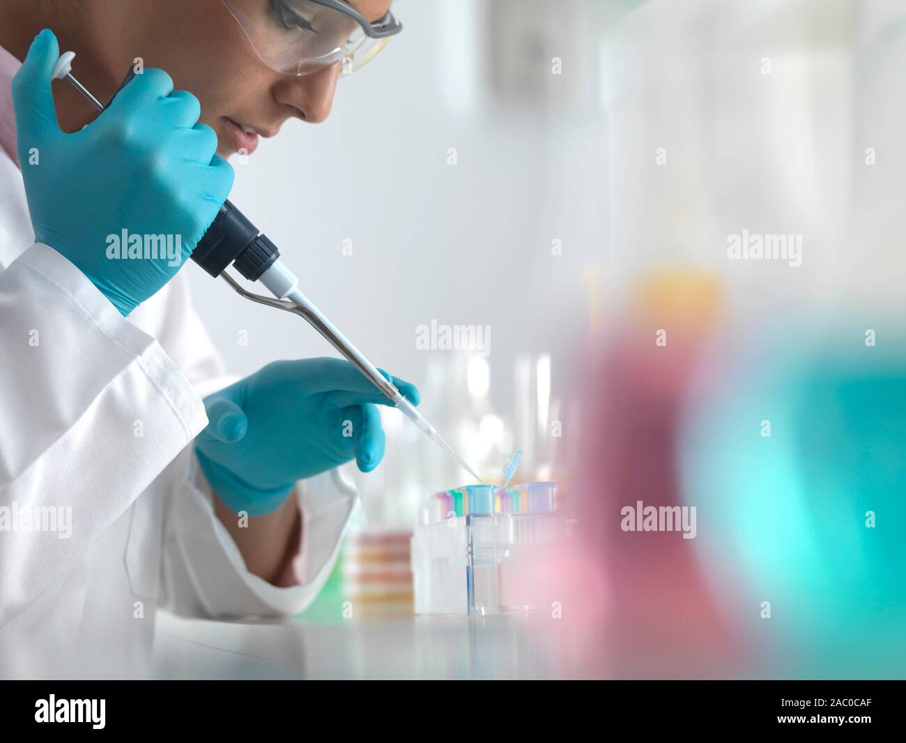 Scientist pipetting samples into micro centrifuge tubes ready for ...