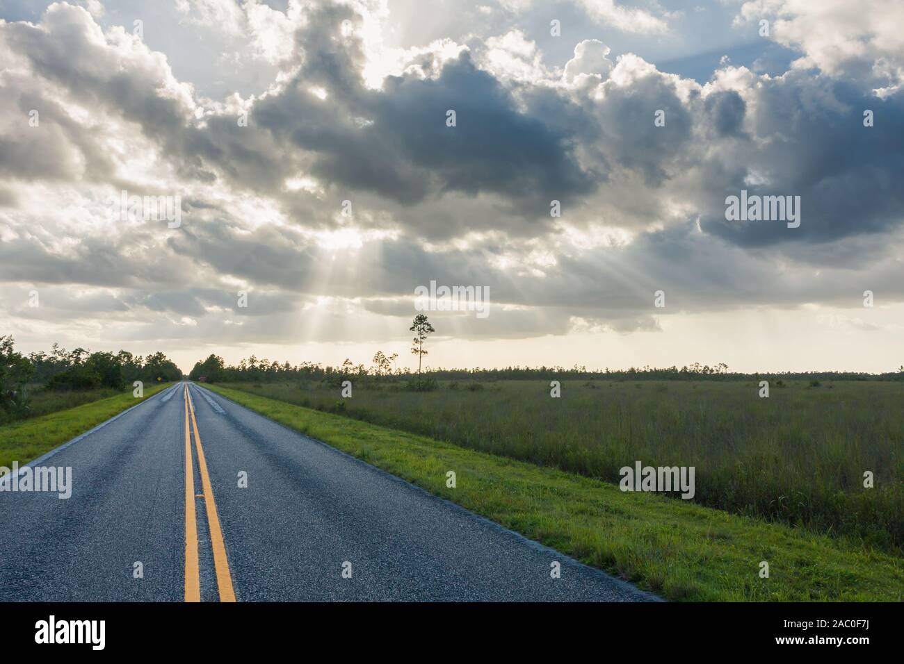 Long and lonely road hi-res stock photography and images - Alamy
