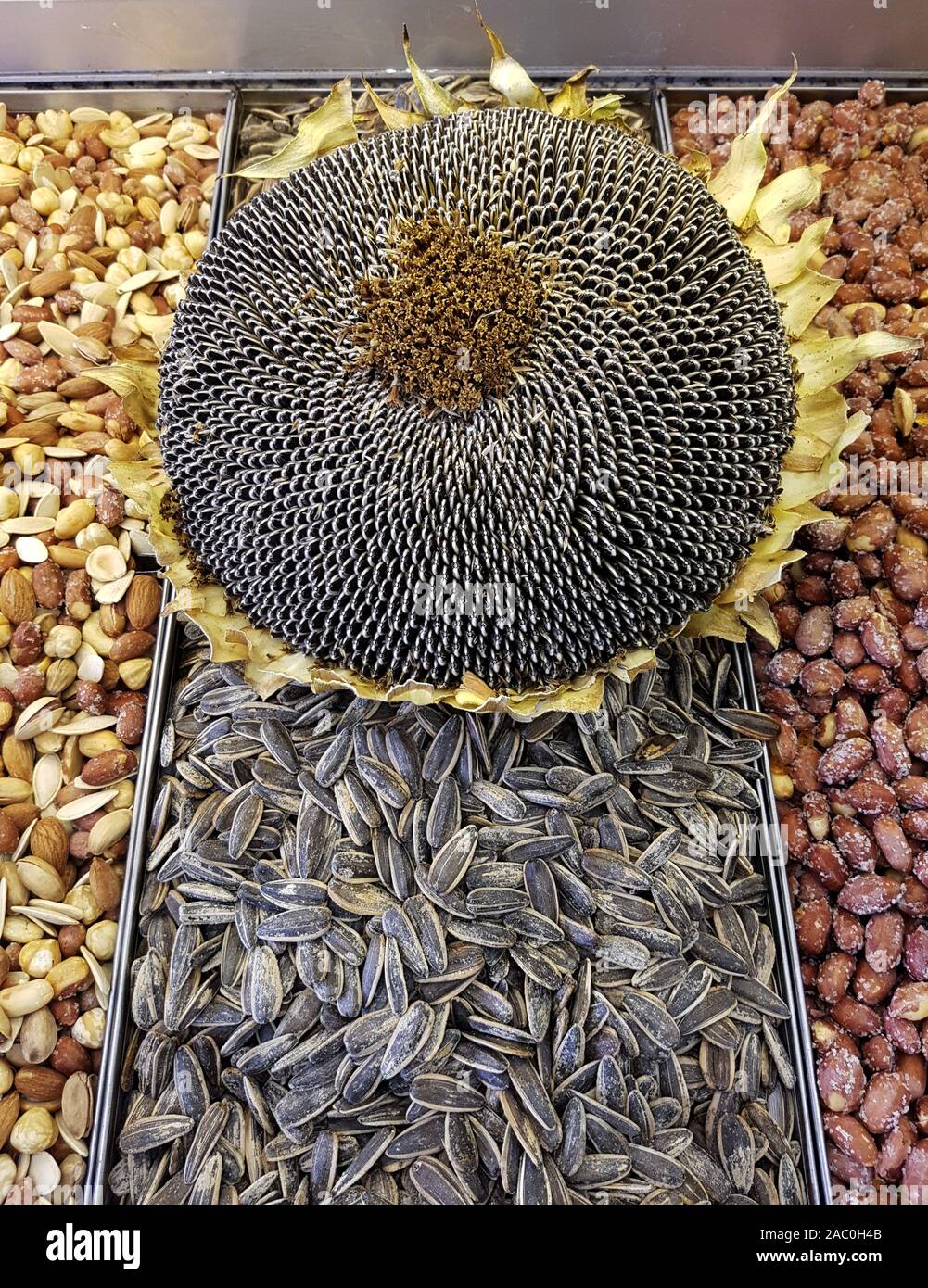 Sun flower seeds Stock Photo - Alamy