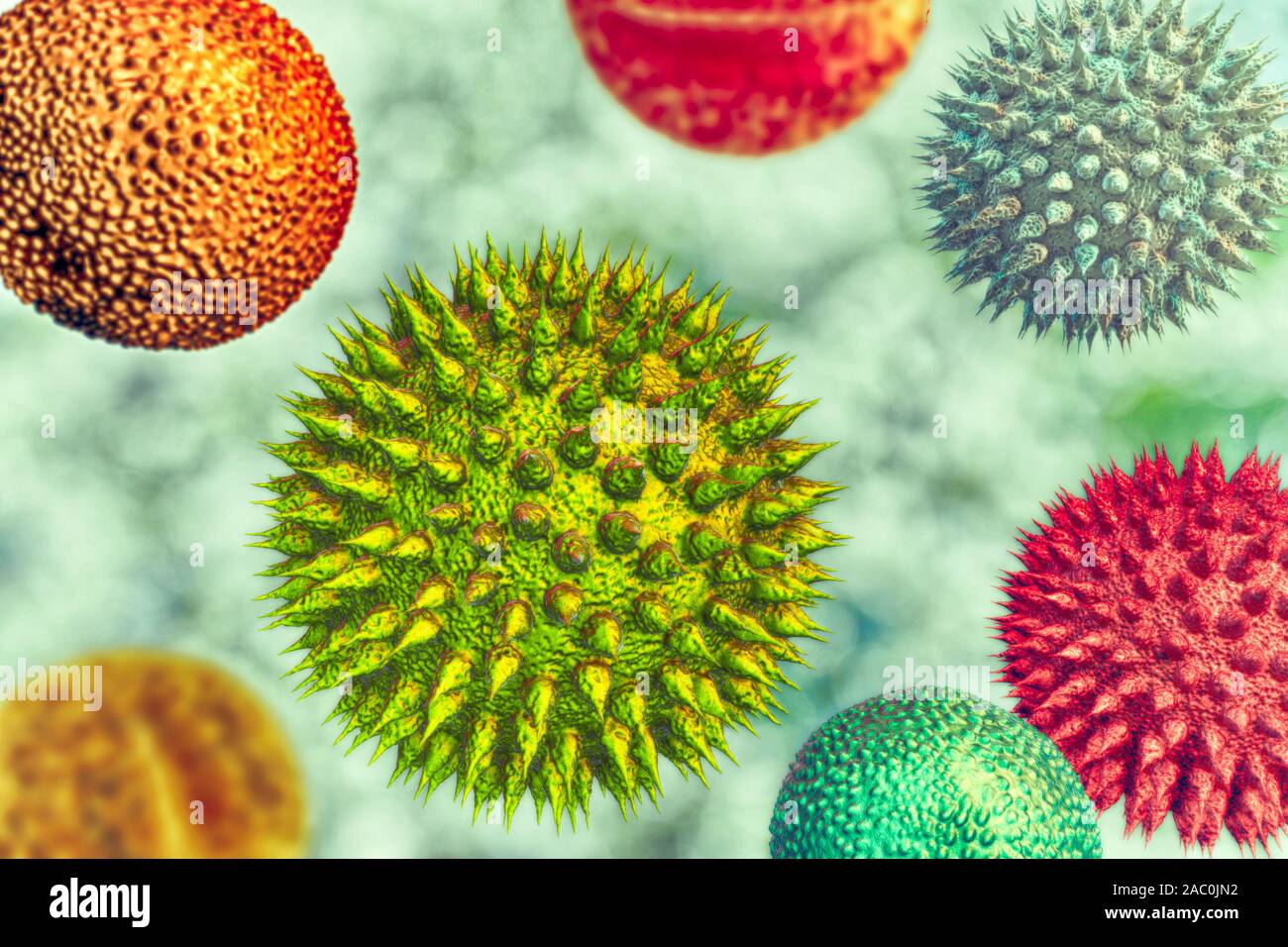 Pollen grains from different plants, illustration Stock Photo - Alamy
