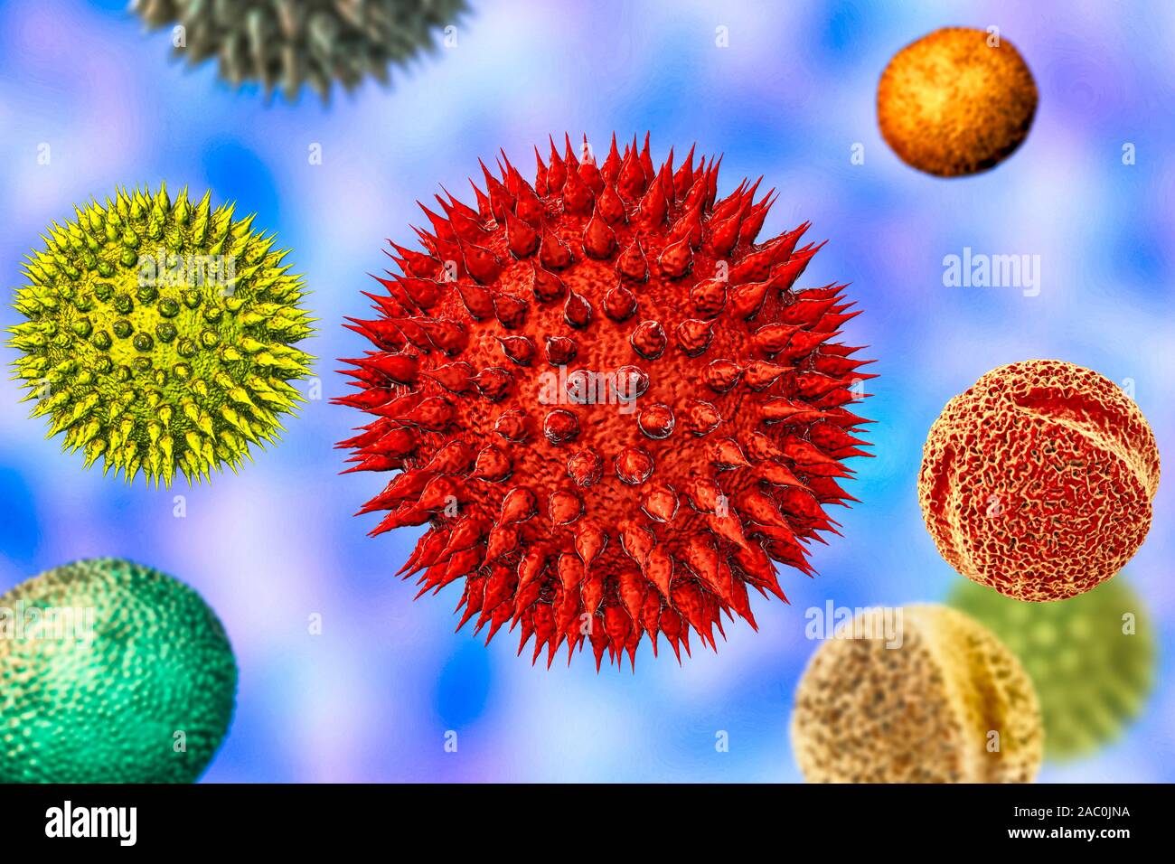 Pollen grains from different plants, illustration Stock Photo - Alamy