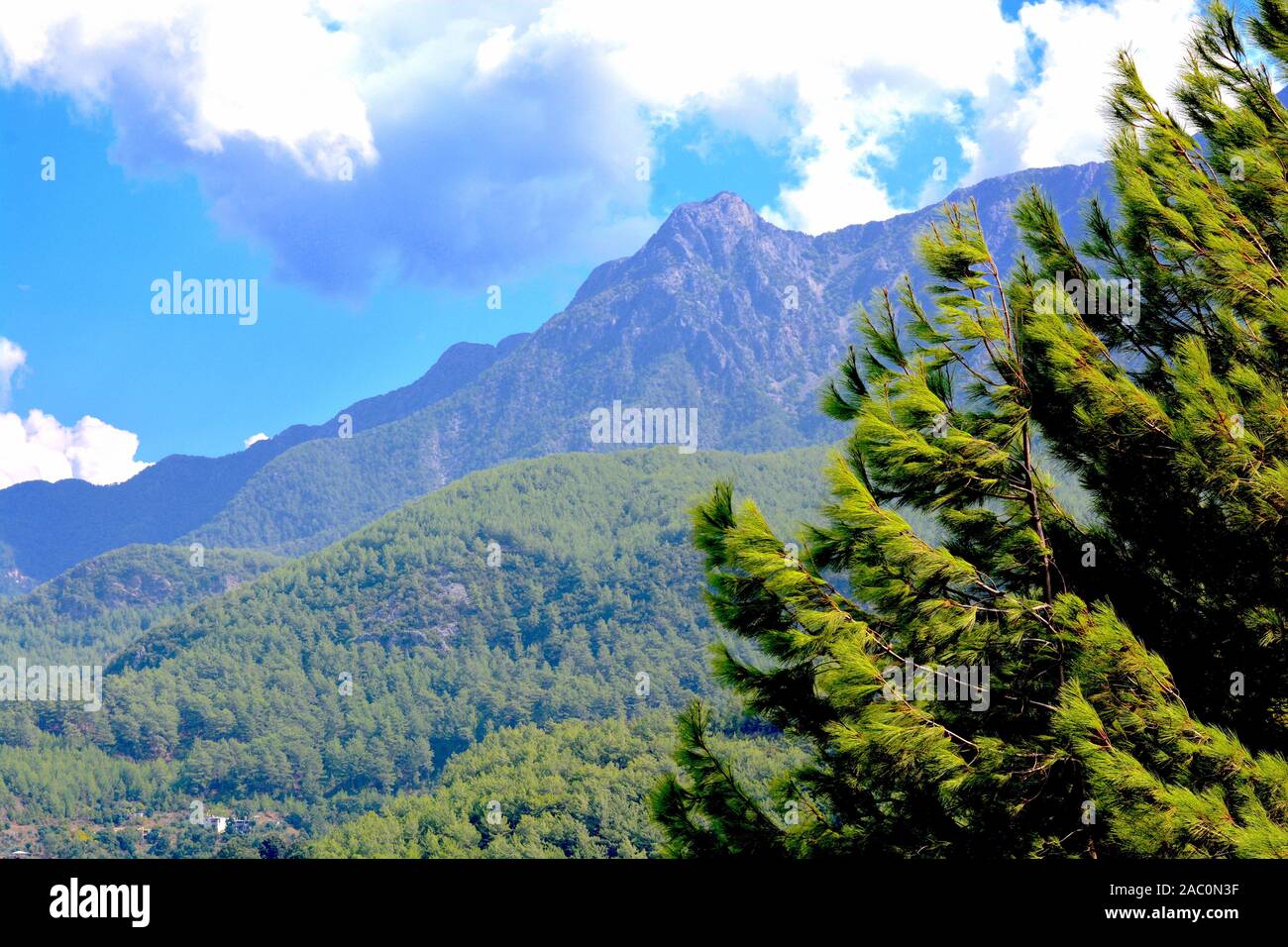 DIM CAY DAM, the large dam above the floating restaurants of DIM CAY ...