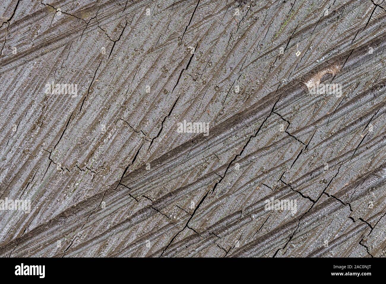 Blue-gray timber with weathered crack lines and wood texture Stock ...