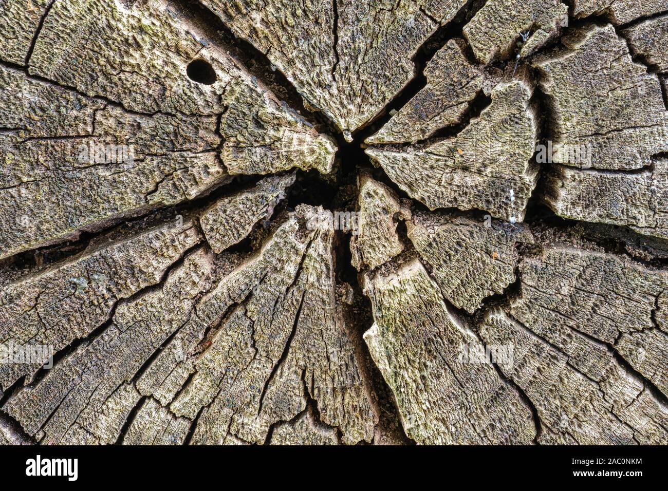 Natural texture background of weathered cracked wood log Stock Photo ...