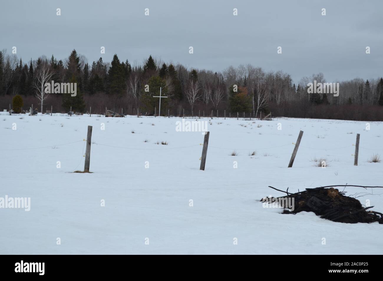 Spring in Northern Ontario with high water Stock Photo - Alamy