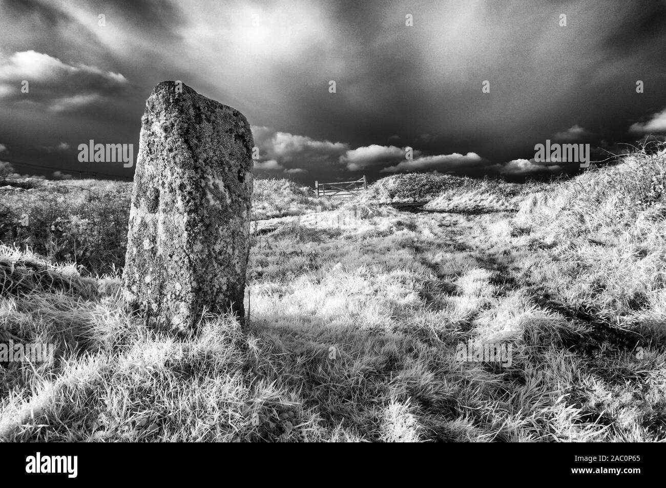 Boslow Cross, Inscribed Stone, Pendeen, Cornwall UK Stock Photo - Alamy