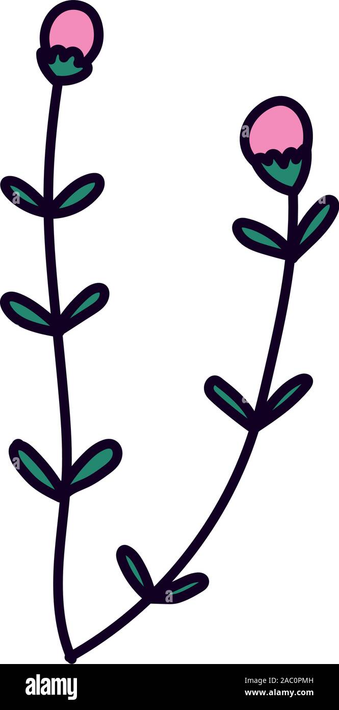 flowers sprout leaves petals nature decoration icon vector illustration ...