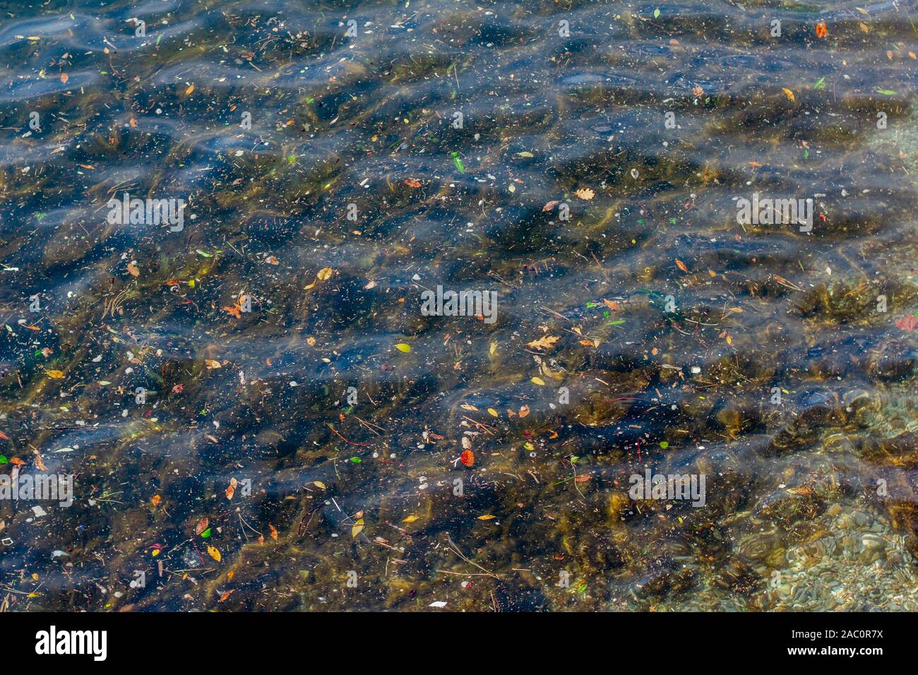 Moving water in the lake with some floating leaves. You can see the ...