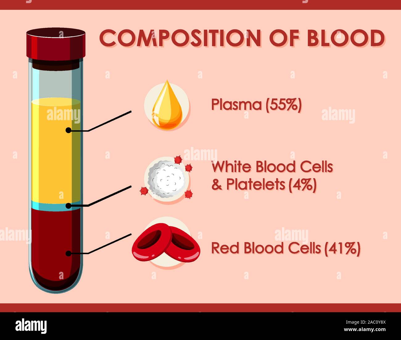 Diagram showing composition of blood illustration Stock Vector Image ...
