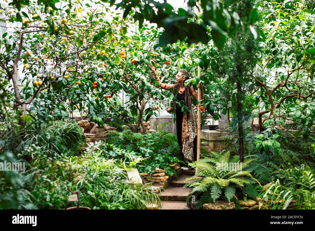 pretty islam woman in orange grove smiling, real muslim girl cheerful ...