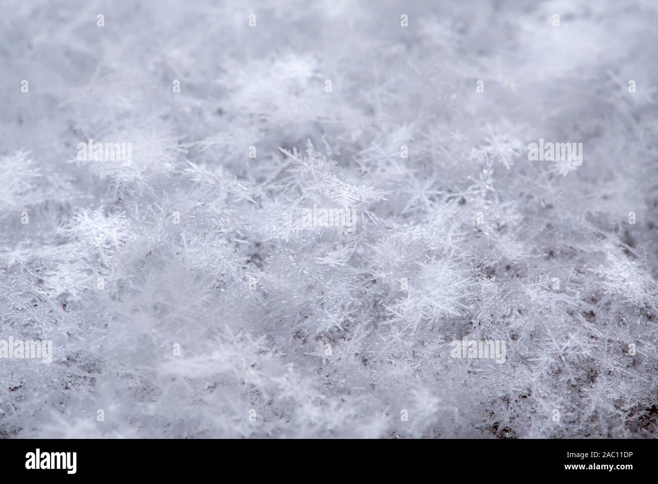 Flying flakes snowfall hi-res stock photography and images - Alamy