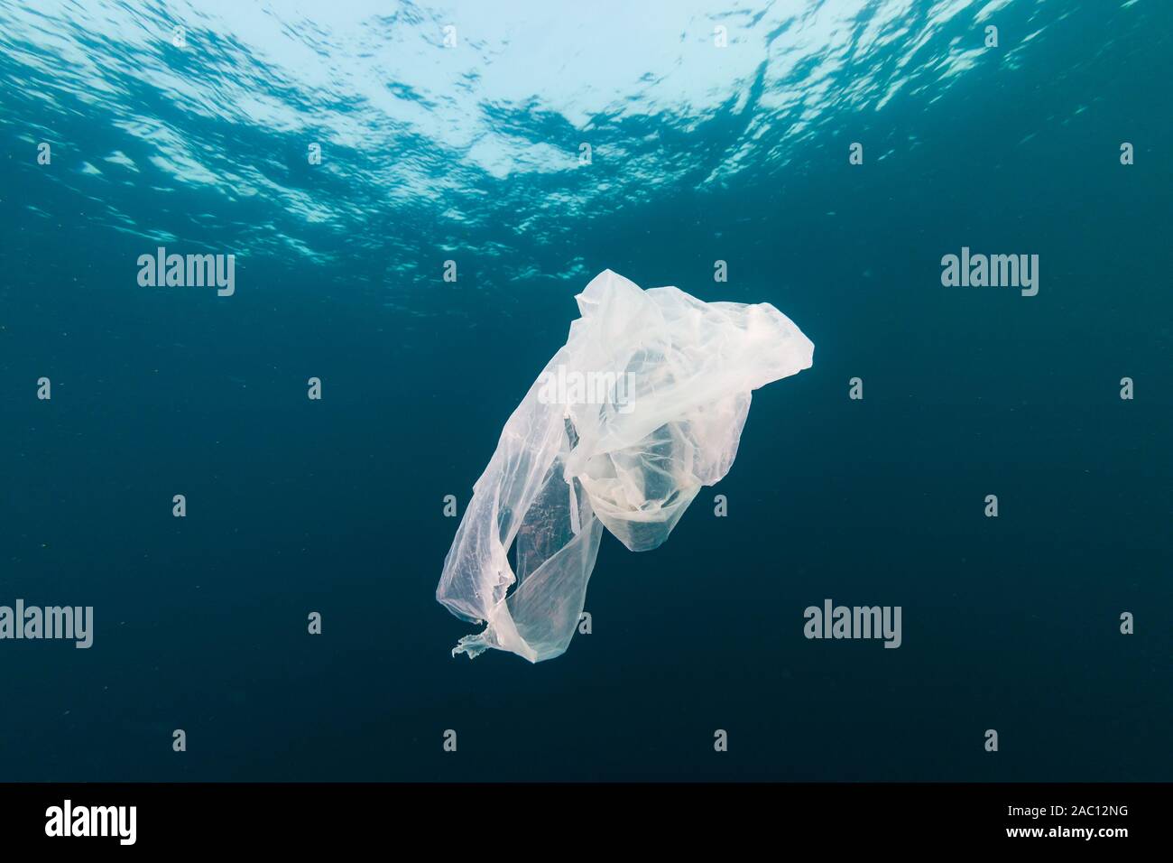 Underwater pollution plastic hi-res stock photography and images - Alamy