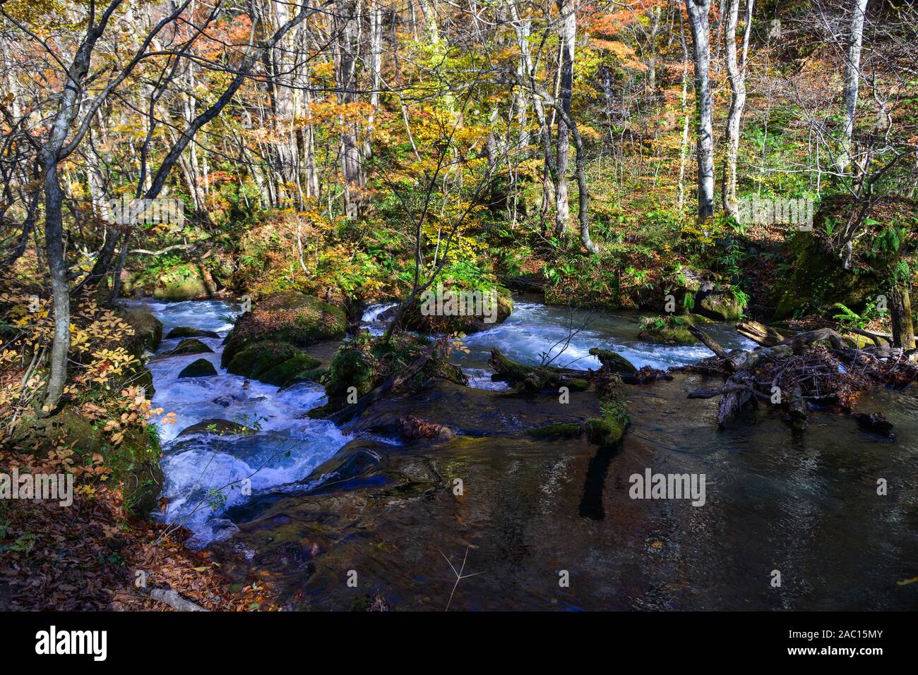 Oirase Stream in sunny day, beautiful fall foliage scene in autumn ...