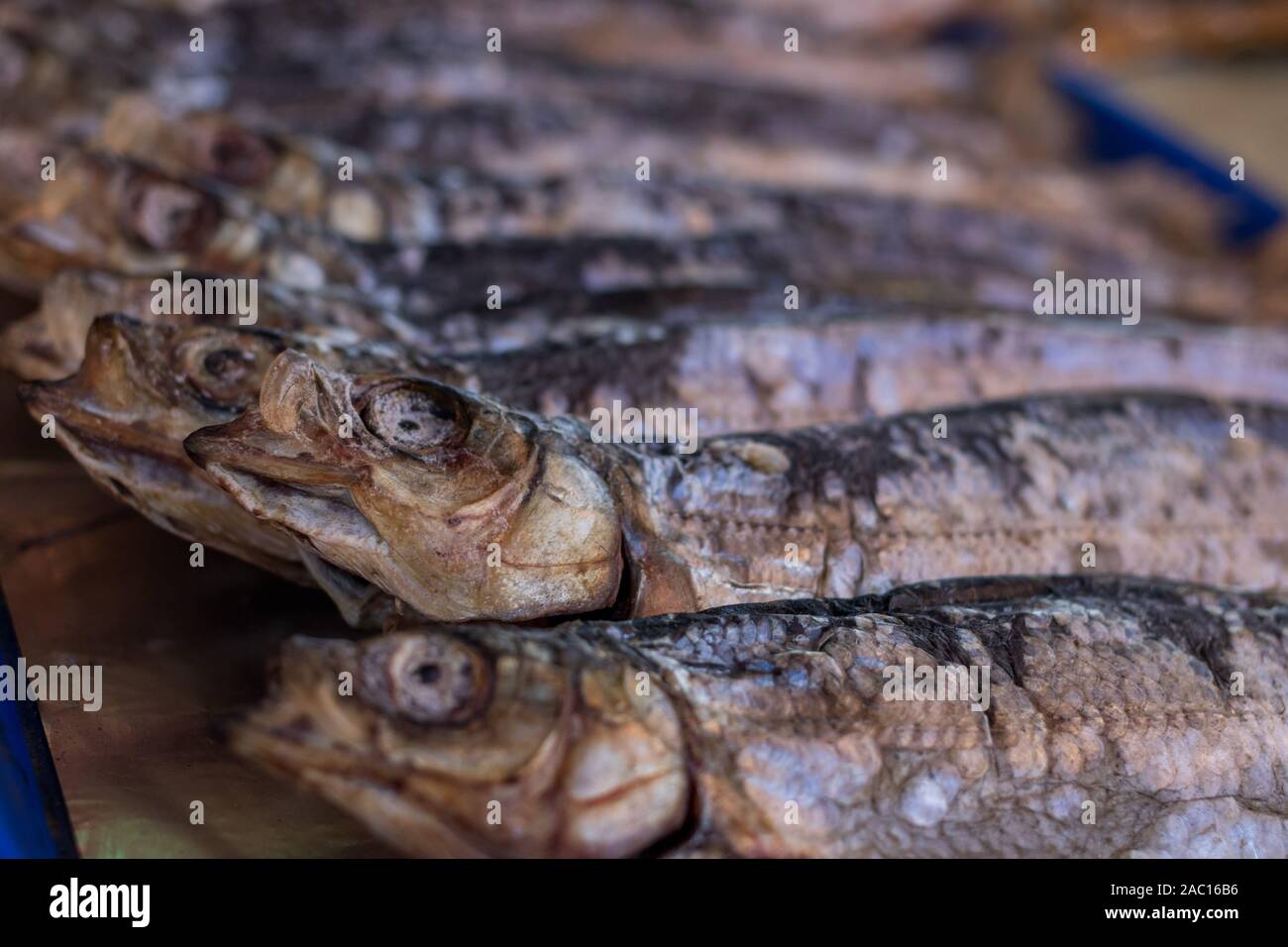 Souvenir dried fish hi-res stock photography and images - Alamy