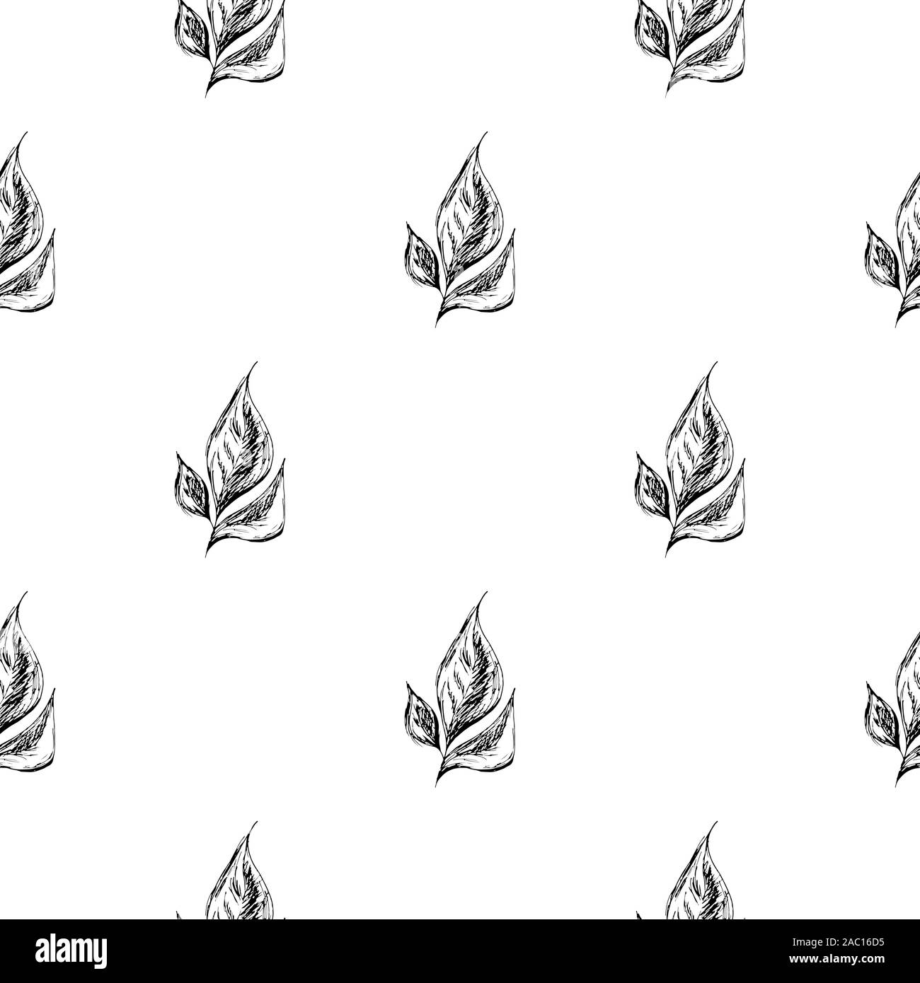 Seamless hand drawn pattern of abstract bay leaves isolated on white ...