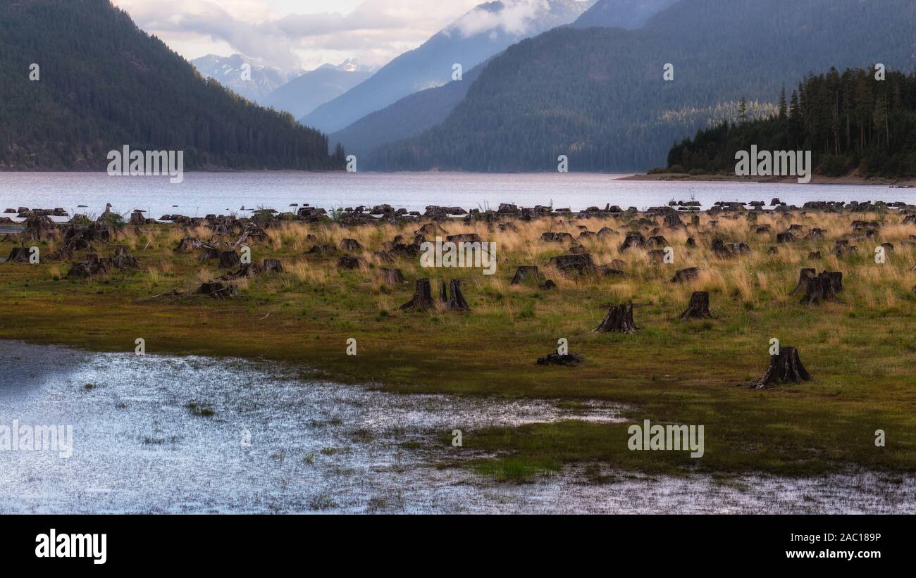 Lakeside deforestation with beautiful mountains in the background Stock ...