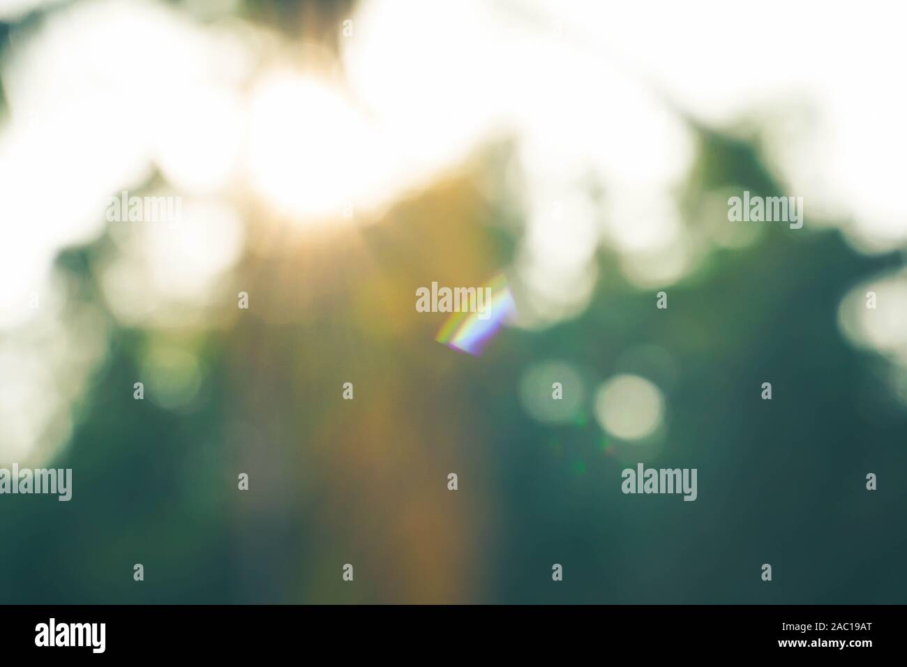 Natural forest green bokeh background Stock Photo - Alamy