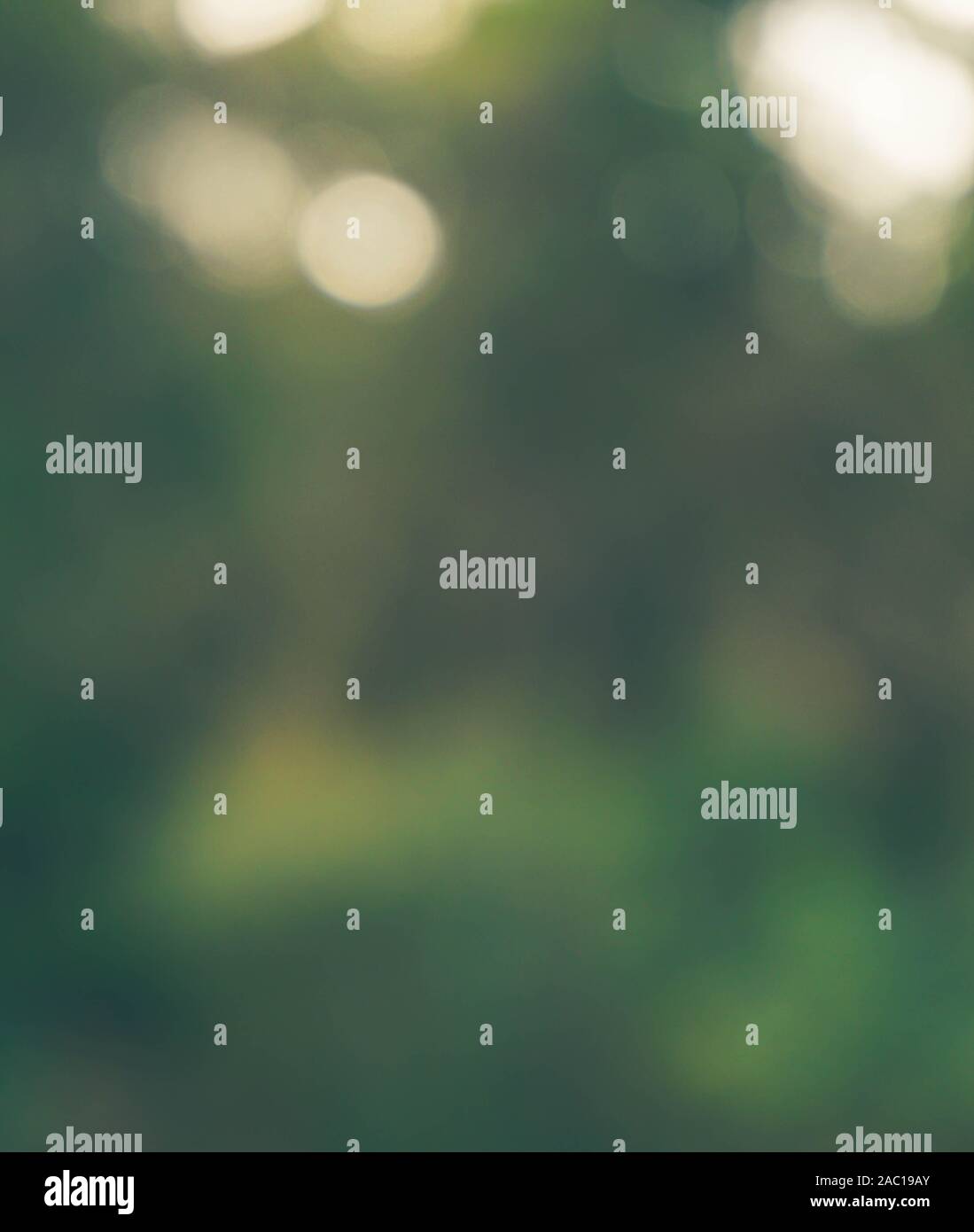 Abstract natural backgrounds beauty bokeh hi-res stock photography and ...