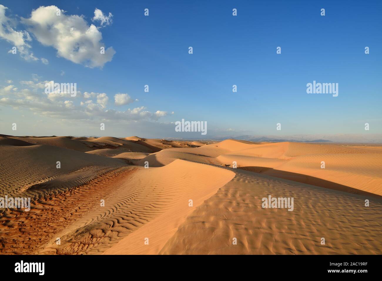 The Wahiba Sands desert in Oman beautiful shaped desert dunes Stock ...