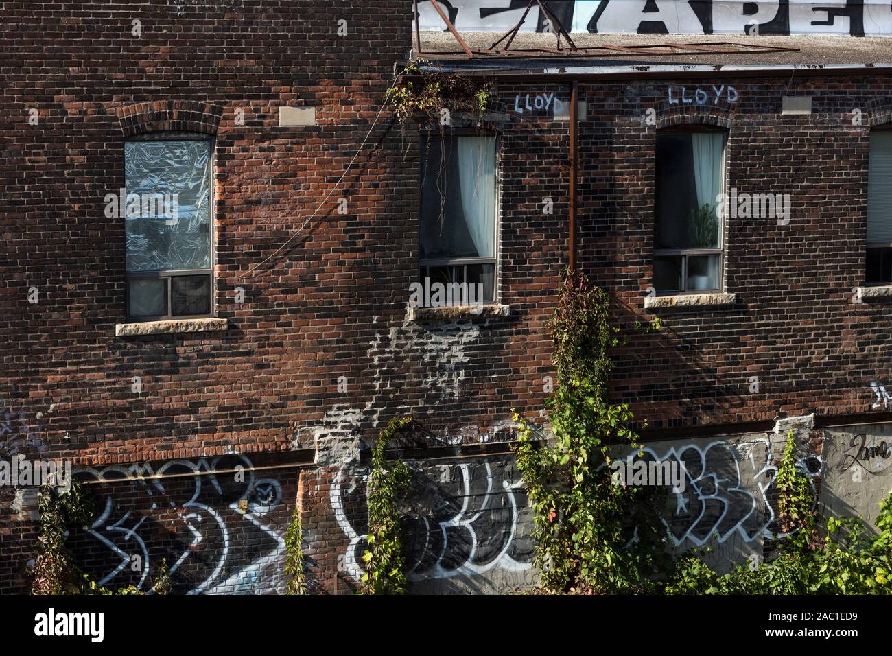 toronto city old brick building with vines and graffiti sunny weather ...