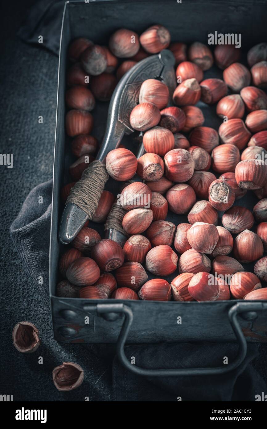 Brown hazelnuts in a rustic metal box Stock Photo - Alamy