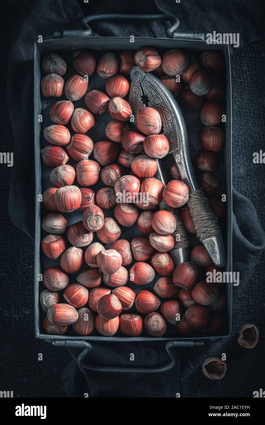 Fresh hazelnuts as a healthy and good snack Stock Photo - Alamy