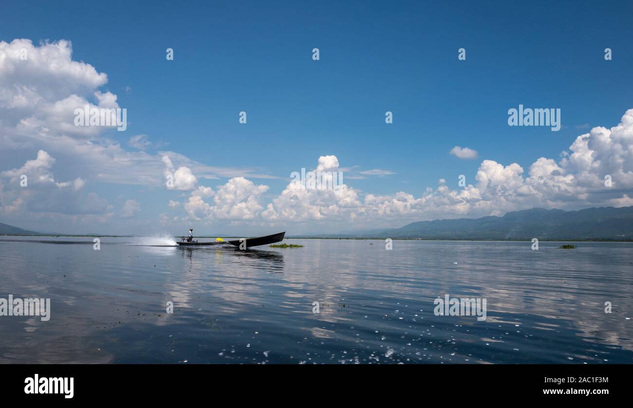 Freshwater fish of myanmar hi-res stock photography and images - Alamy