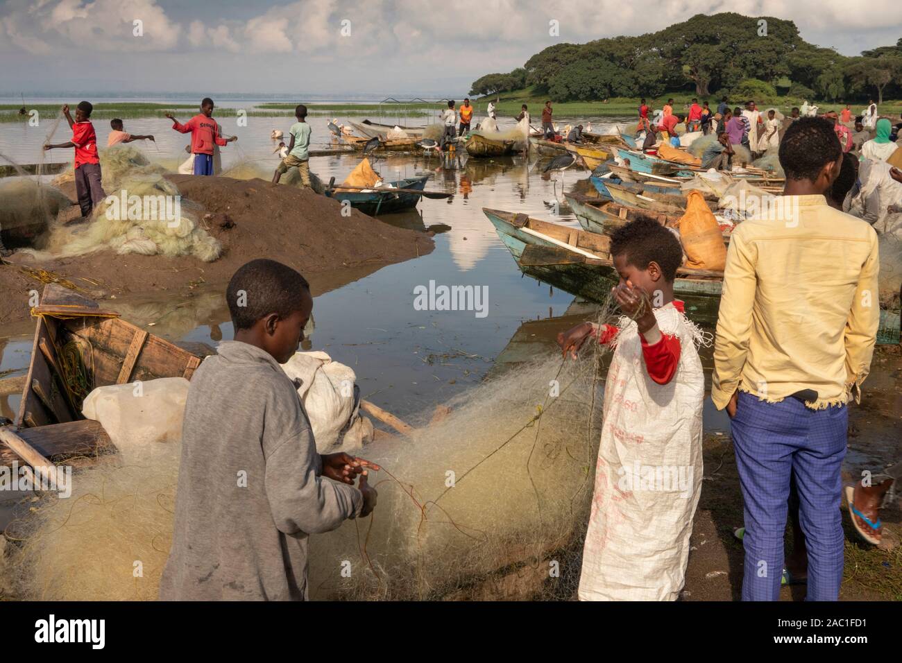 Ethiopia, Rift Valley, Hawassa, City Fish Market, fishermen preparing ...
