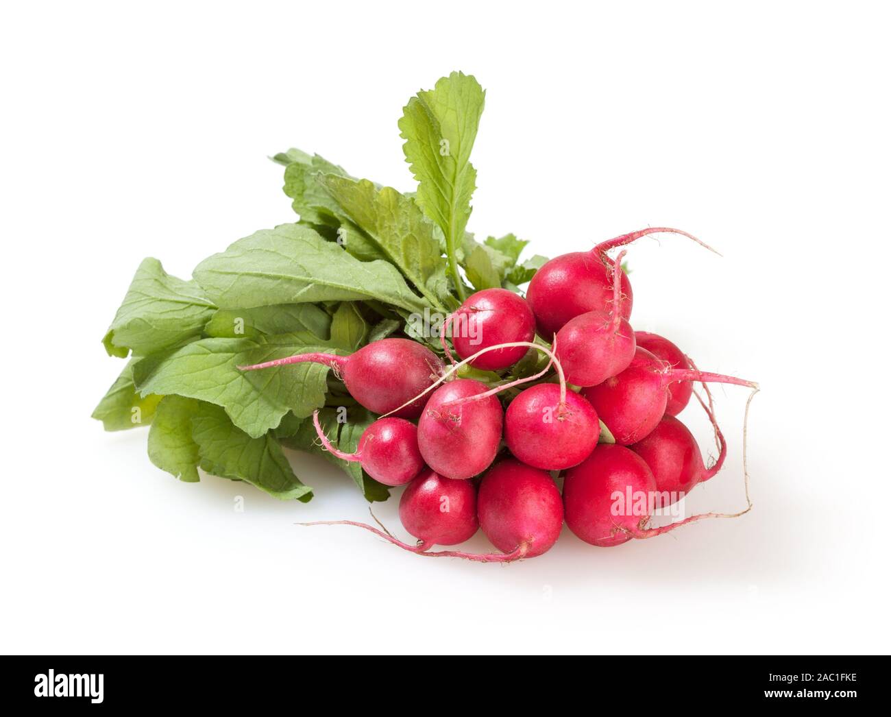 Bunch of radish isolated on white background Stock Photo - Alamy