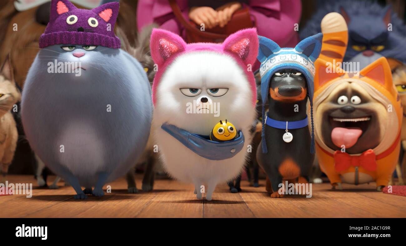 THE SECRET LIFE OF PETS 2 (2019), directed by CHRIS RENAUD and JONATHAN ...