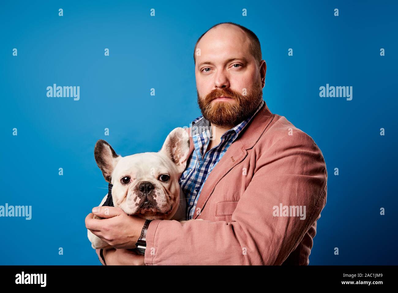 Serious male with french bulldog in arms on empty blue background in ...