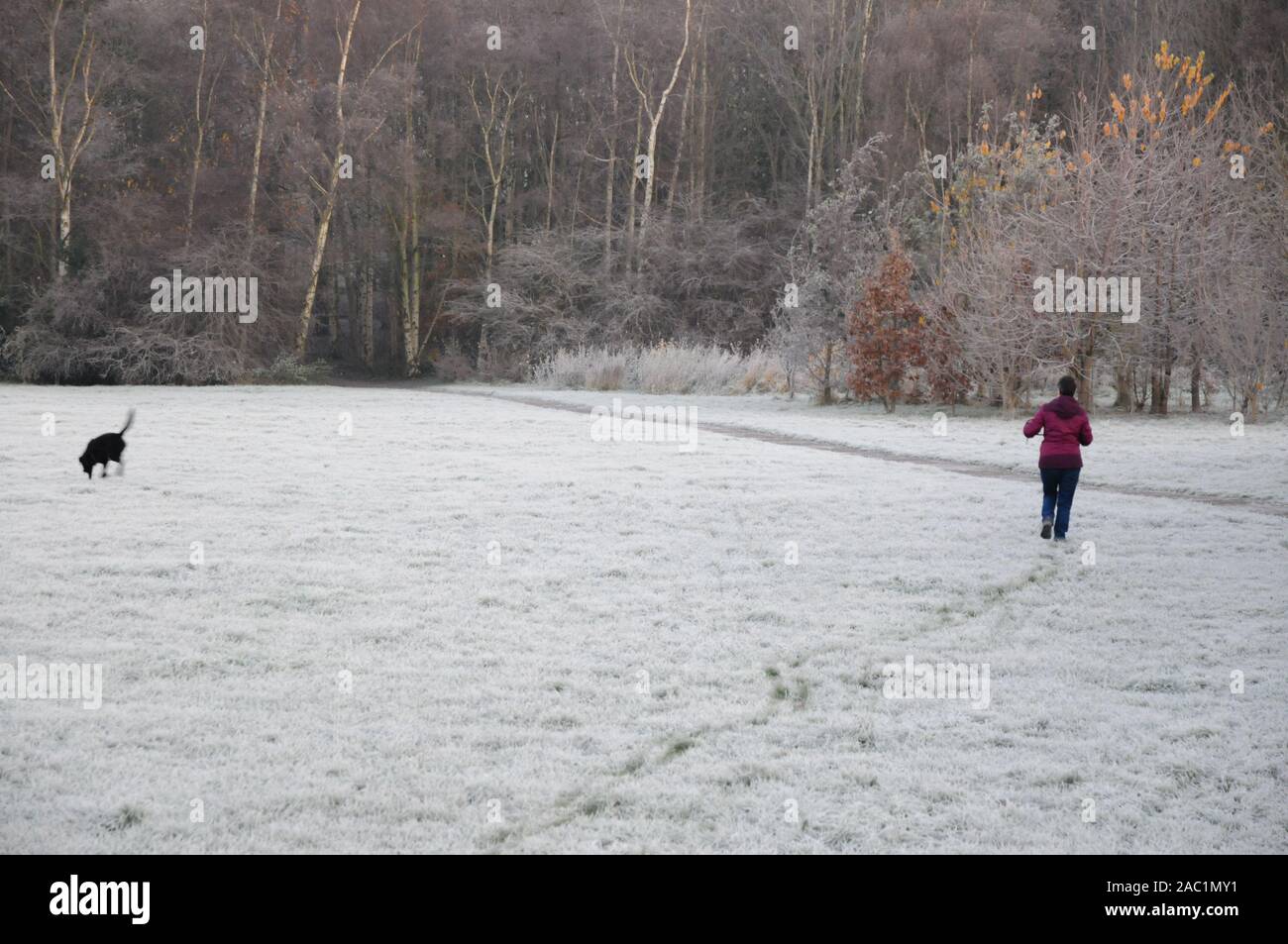 Meersbrook park hi-res stock photography and images - Alamy