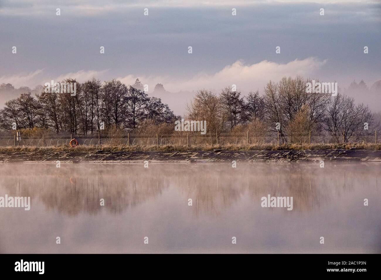Tuesley Farm, Godalming. 30th November 2019. A cold, frosty and foggy ...